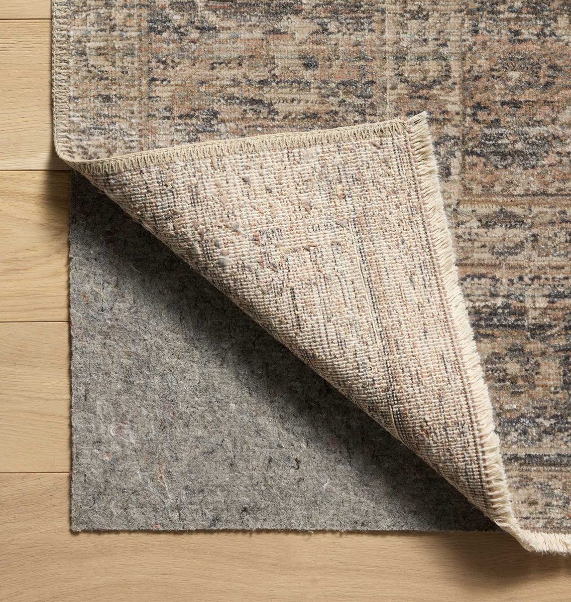 Molly MOL-04 Navy / Blush Area Rug | Shoppe Amber Interiors