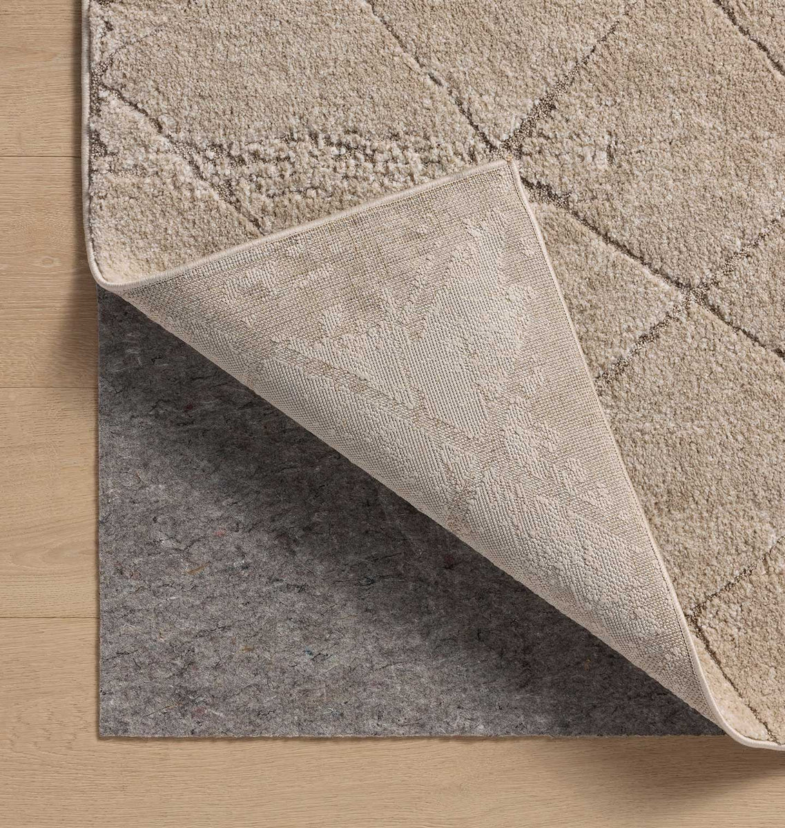 Monty MOT-05 Beige / Natural Area Rug | Shoppe Amber Interiors