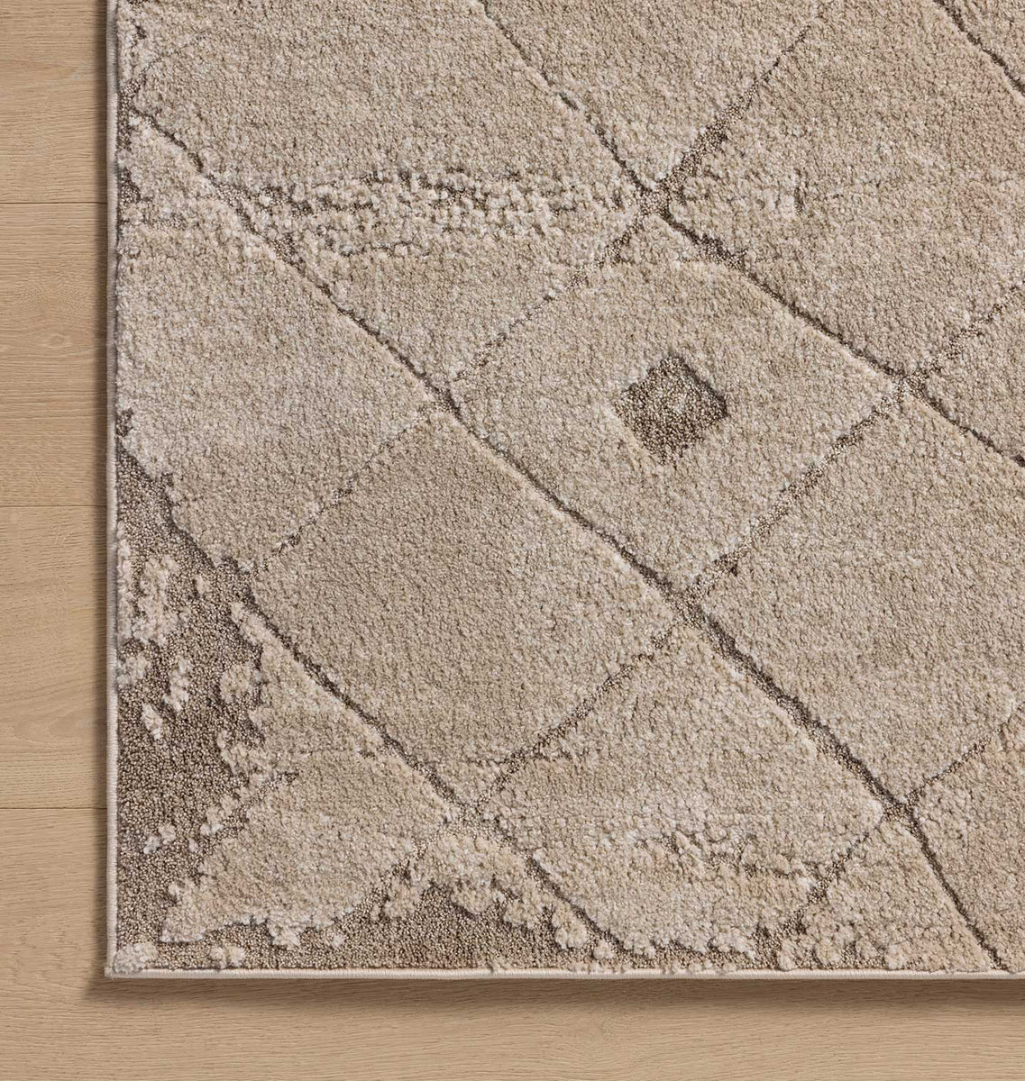 Monty MOT-05 Beige / Natural Area Rug | Shoppe Amber Interiors