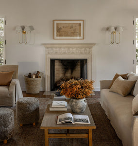 Amber Lewis x Loloi Rugs | Shoppe Amber Interiors