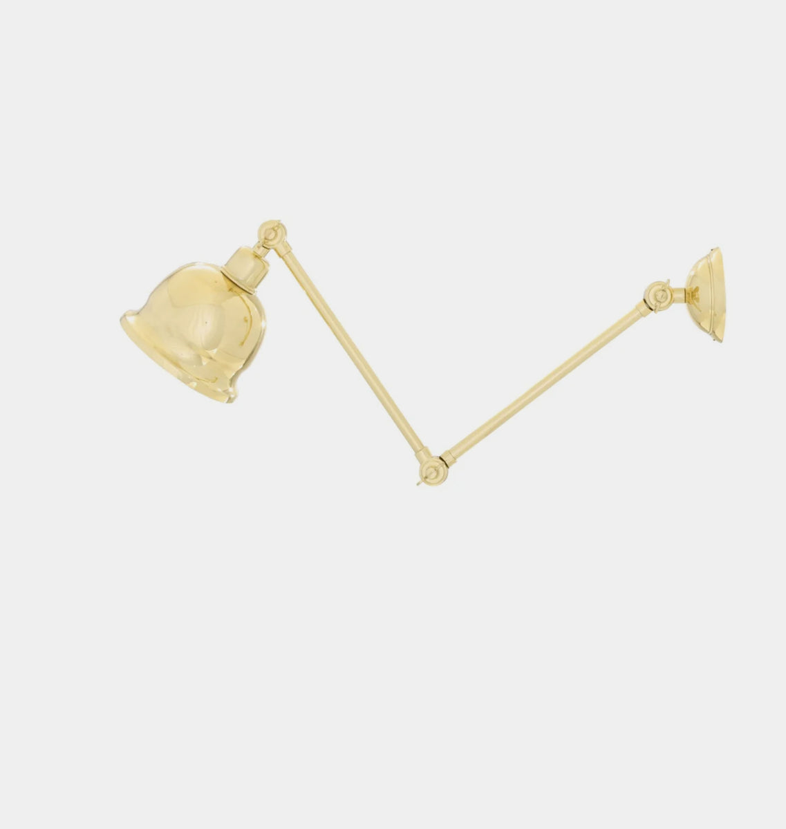 Dale Adjustable Wall Light | Shoppe Amber Interiors